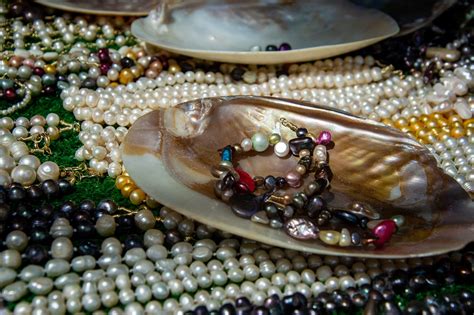 Pearls Beads Jewelry Natural Free Photo On Pixabay Pixabay