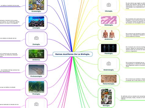Ramas Auxiliares De La Biología Mind Map