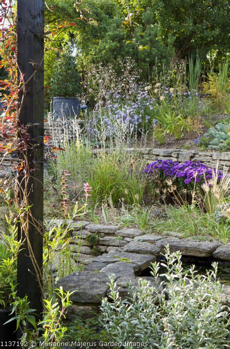 Marianne Majerus Garden Images