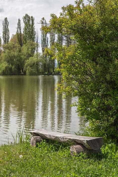 Naturaleza Al Aire Libre Viaje Foto Gratis En Pixabay Pixabay
