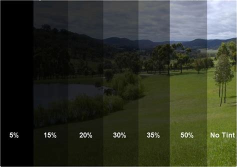 Window Tint Diagram