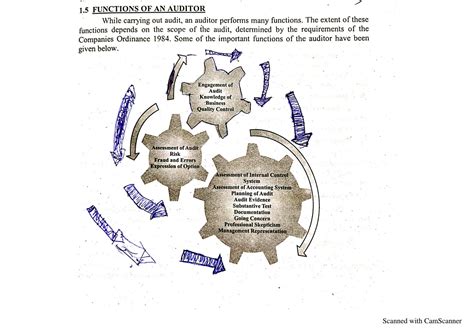SOLUTION Functions Of Auditor Studypool