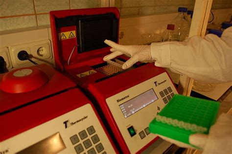 3 Common Microbiological Testing Methods For Food Products Delishably