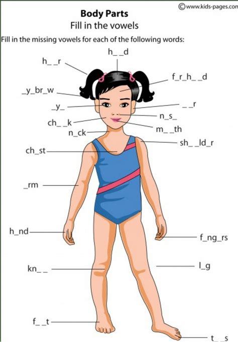 Partes Do Corpo Em Inglês Exercícios SOLOLEARN