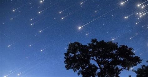 Dans La Nuit Du Au Ao T Les Pers Ides Illumineront Le Ciel Avec