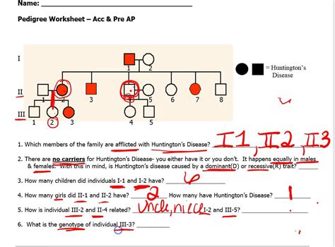 Genetics Pedigree Worksheet Answer Key Huntington S Disease Free