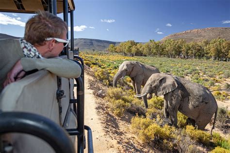 Aquila Big Safaris Day Trip Safaris