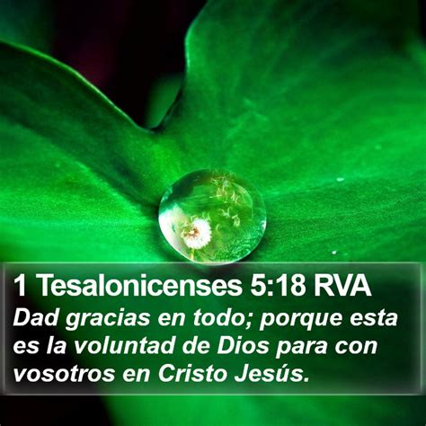 1 Tesalonicenses 5 18 RVA Dad Gracias En Todo Porque Esta Es La Voluntad