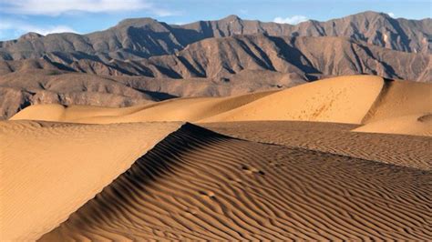 Viesca el pueblo mágico en el que las dunas son las estrellas Uno TV