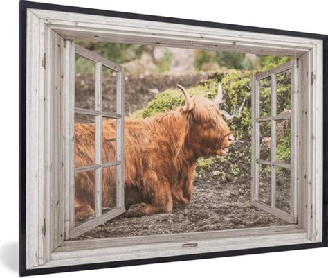 Fotolijst Incl Poster Schotse Hooglander Doorkijk Natuur