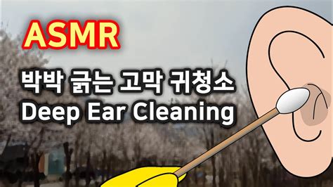 Asmr Asmr Bgm Deep Ear Cleaning