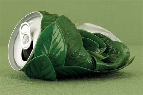 Green Marketing Estrategias De Marketing Verde Y Ejemplos Mdirector