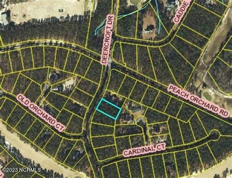 30 Deercroft Rd Wagram NC 28396 Realtor