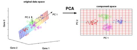 pca 主成分分析 的python源码实现 知乎