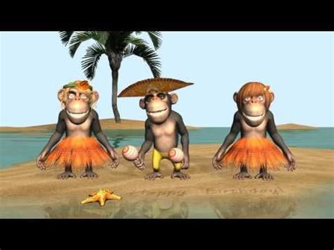 Funny Happy Birthday Song Monkeys Sing Happy Birthday To You YouTube