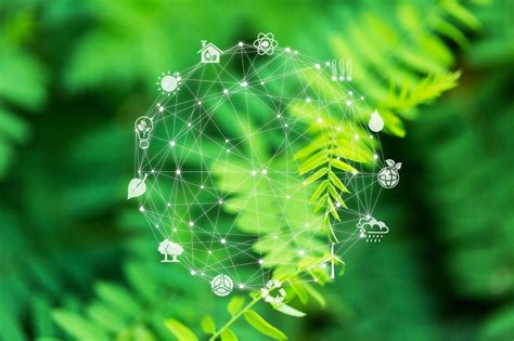 ESG Working With Businesses To Develop And Implement Their ESG