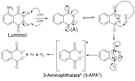 The Chemiluminescence Of Luminol Home