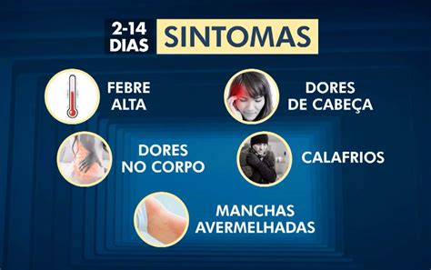 Prefeitura de Americana confirma sexta morte por febre maculosa vítima