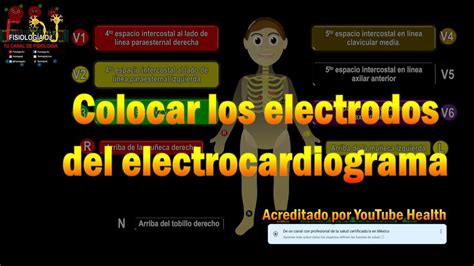 Electrocardiograma interpretación Cómo y dónde colocar los