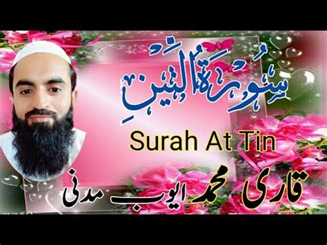 Surah At Tin By Qari Muhammad Ayub Madni Full With Arabic Text