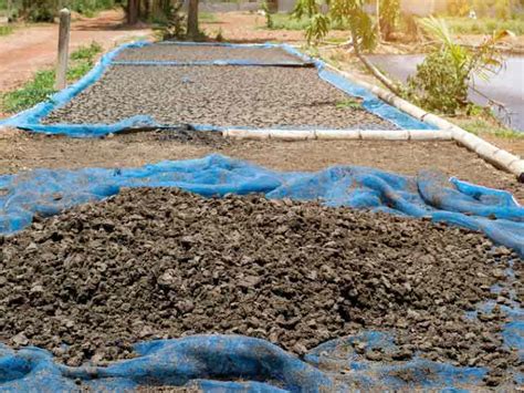 How To Compost Pig Manure A Comprehensive Guide