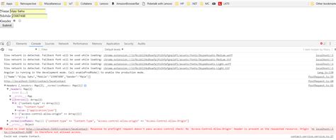 Typescript NET API Does Not Accept Access Control Allow Origin