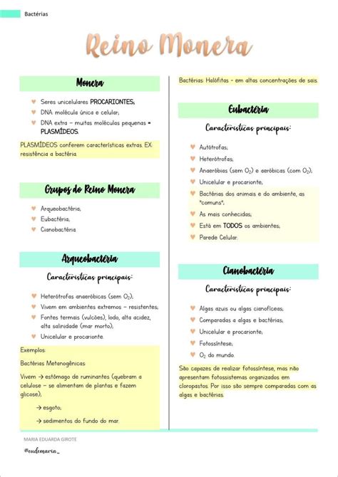 Mapas Mentais Sobre Reino Monera Study Maps