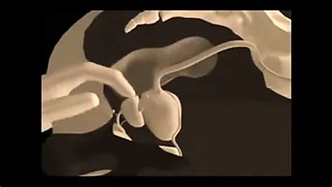 Wife Makes Husband Cum Twice With Wild Prostate Massage XHamster