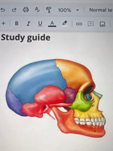 Anatomy And Physiology Exam 2 Flashcards Quizlet