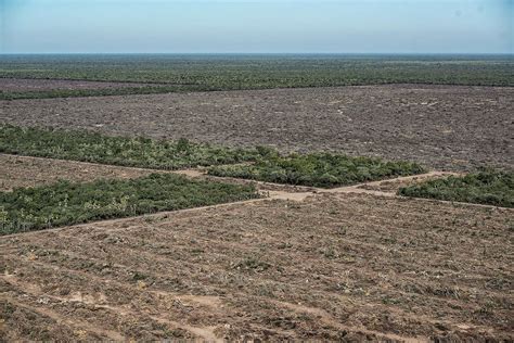 Fundación Greenpeace Argentina Protesta en el río Bermejo Los