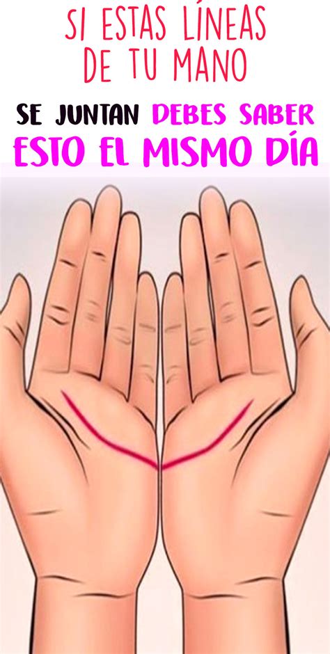 Si Estas L Neas De Tu Mano Se Juntan Debes Saber Esto El Mismo D A