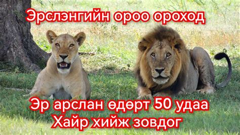 Goy Tuuhuud Mongol Heleer