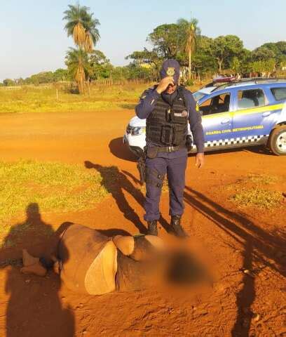 Mulher é mantida em cárcere por 5 dias e diz que marido tinha dívida