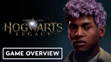 Hogwarts Legacy Character Creator Gameplay Overview Youtube