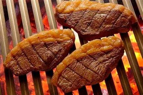 Dia Do Churrasqueiro Aprenda A Preparar O Churrasco Perfeito