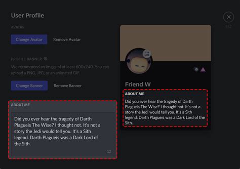 Self Introduction Template Discord Aesthetic Copy And Paste Printable