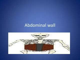 PPT Anatomy Of Anterior Abdominal Wall PowerPoint Presentation Free