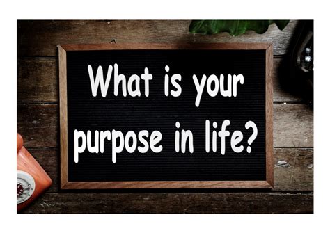 What Is Your Purpose In Life