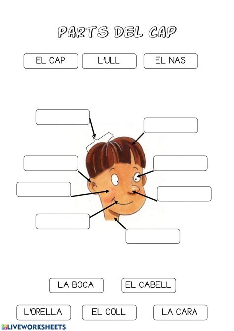 El cos humà ficha interactiva y descargable Puedes hacer los