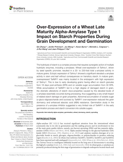 PDF Over Expression Of A Wheat Late Maturity Alpha Amylase Type 1