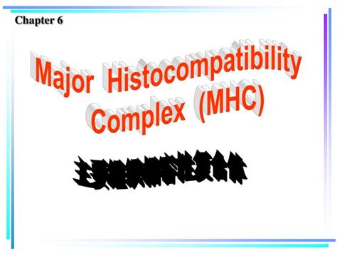 Ppt Major Histocompatibility Complex Mhc Powerpoint Presentation