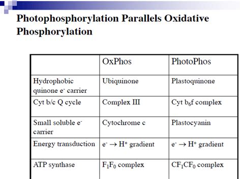 Photophosphorylation Vs Oxidative Phosphorylation