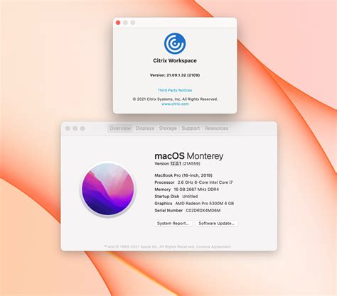 Introducing Day Support For Macos Monterey On Citrix Workspace App