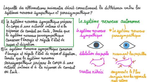 Vidéo question Comparaison des systèmes nerveux parasympathique et