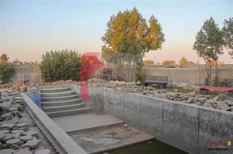 16 Kanal Farm House For Sale On Jia Bagga Road Lahore
