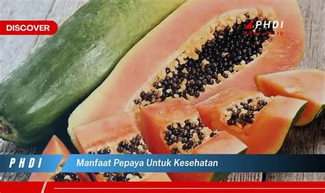 Temukan Manfaat Pepaya Untuk Kesehatan Yang Bikin Kamu Penasaran