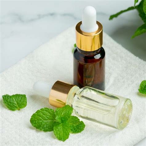 Óleo essencial peppermint benefícios indicações e como usar