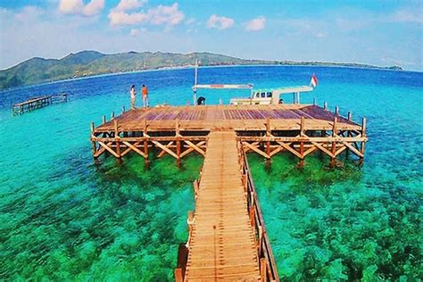 Pesona Bawah Laut Pulau Menjangan Kecil News Media