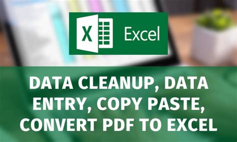 do excel cleanup data entry copy paste convert to excel by mohdyounis249 fiverr