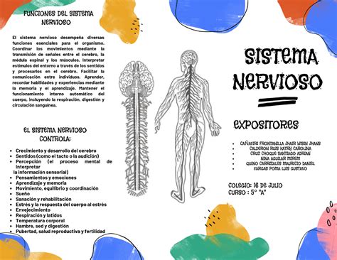 Sistema Nervioso Medicina Legal Studocu